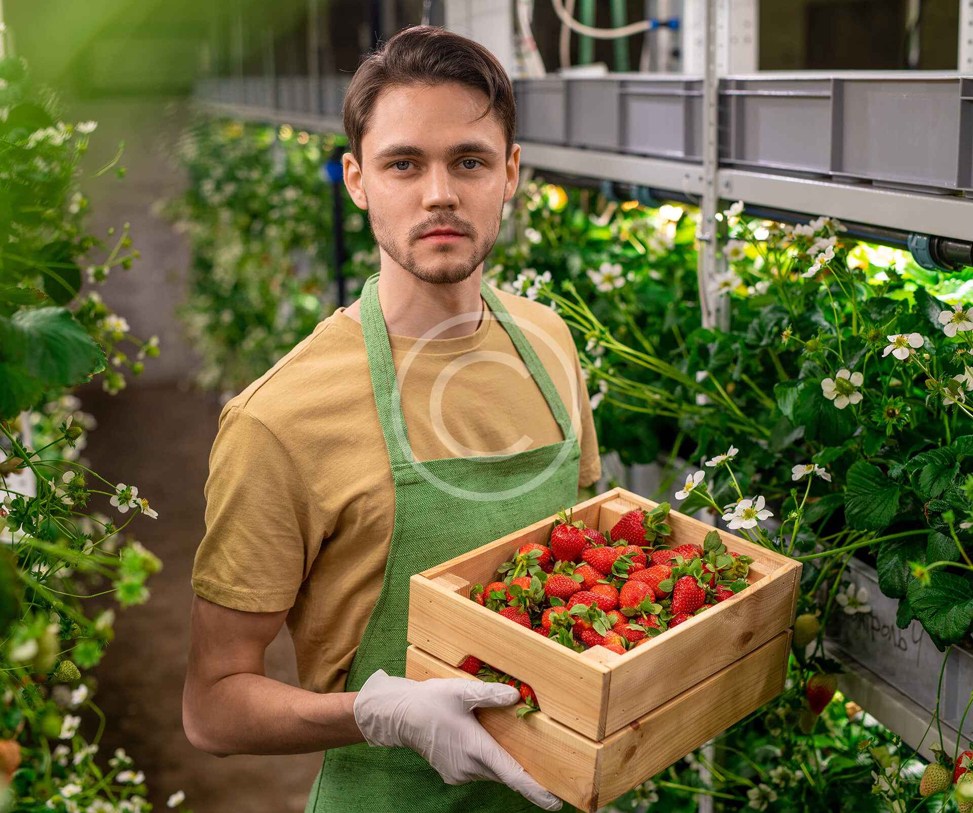 Top 5 ways to grow vertical gardens in small spaces – Quantagro