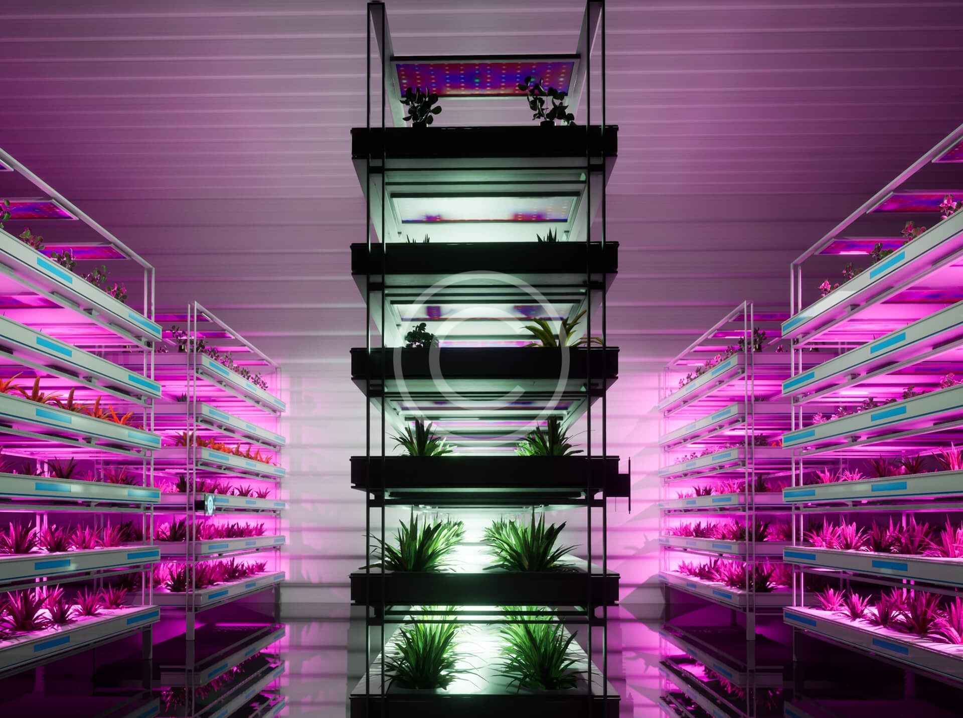 Hydroponic system – Quantagro